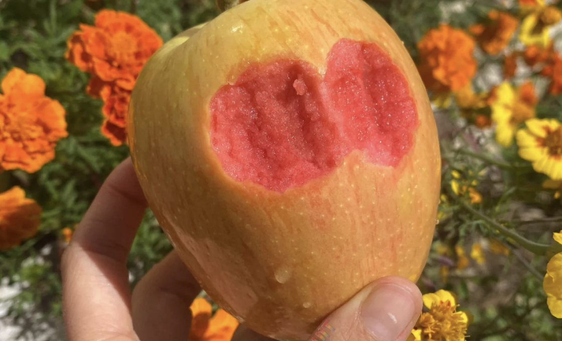 kissable red rose Apple - strikingstuff.com